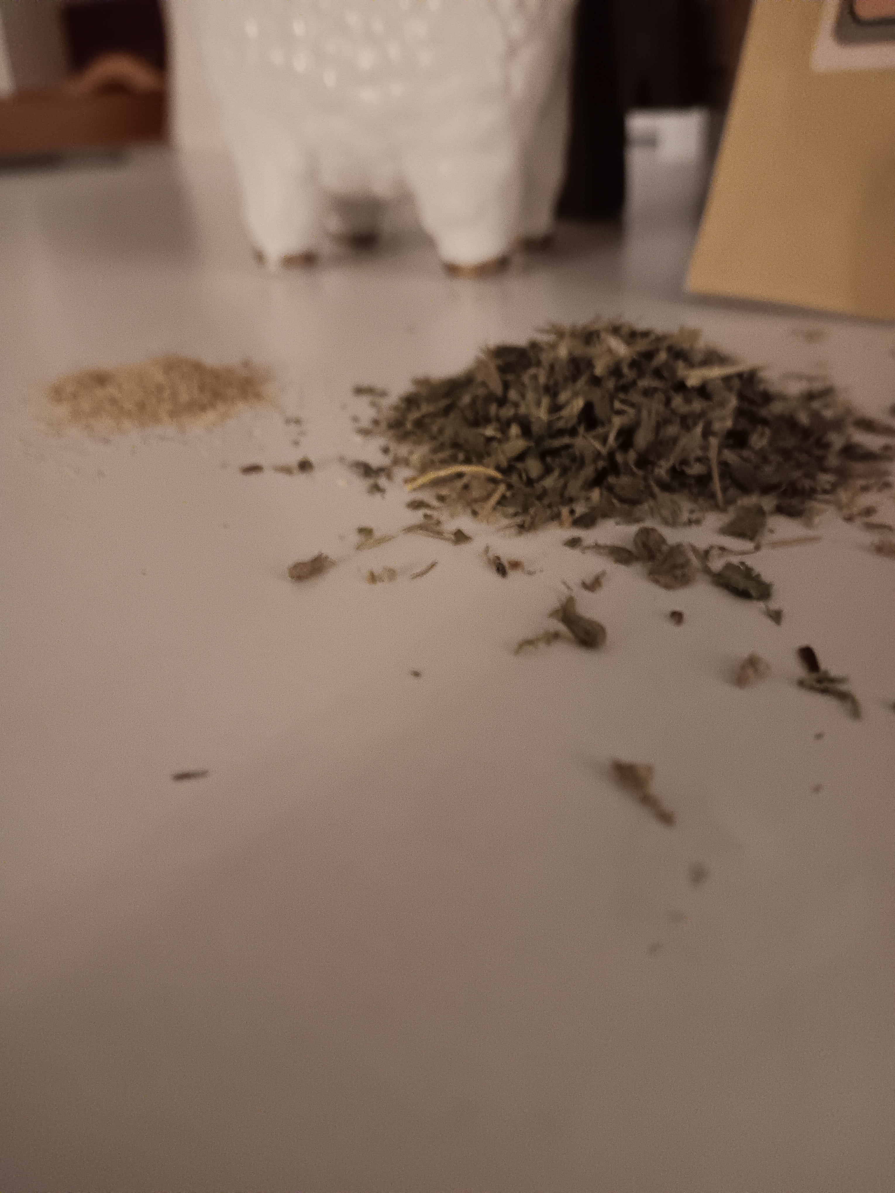 What’s Really in “Organic” Catnip — And Why Purity Matters for Your Ca ...